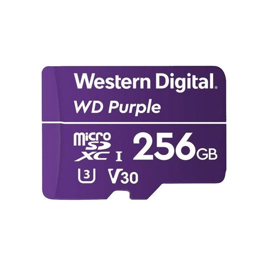 SD CARD CCTV 256 SD karta pre dohladové systémy CCTV | TSS GROUP