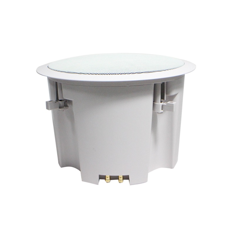 DSPPA DSP211 stropný subwoofer | TSS GROUP